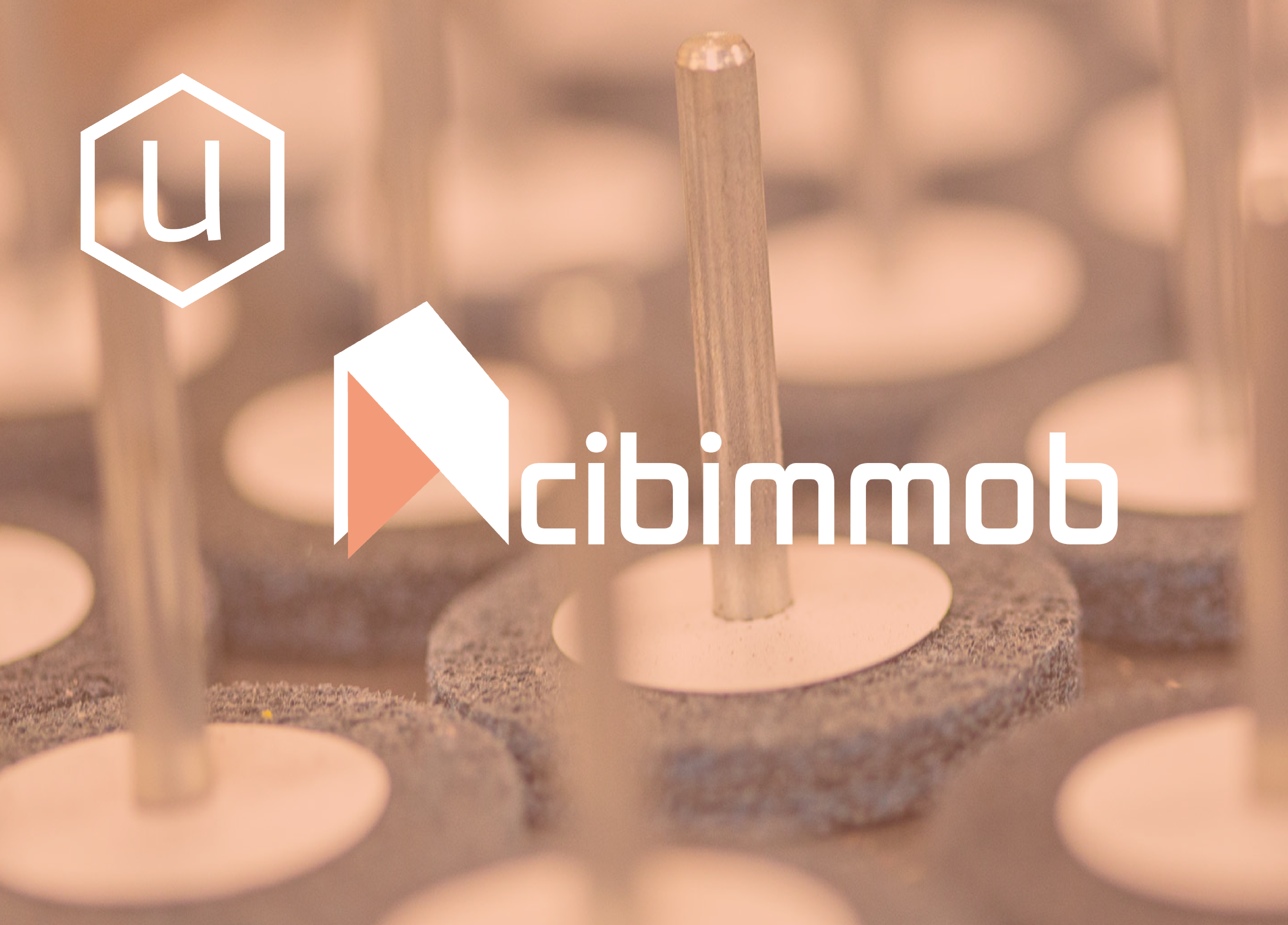 Case Studies | Uncountable